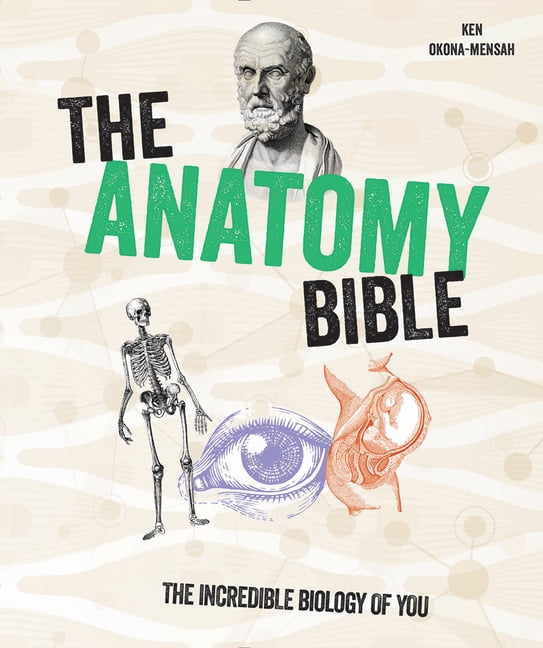 The Anatomy Bible (Paperback) - Walmart.com - Walmart.com