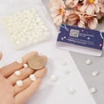 1 Box 2 Strands 100Pcs Ocean Shell Beads Natural Trochus Shell Bead ...