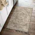 BERTHMEER 2'x3' Small Area Rugs Washable for door Entryway Bedroom ...