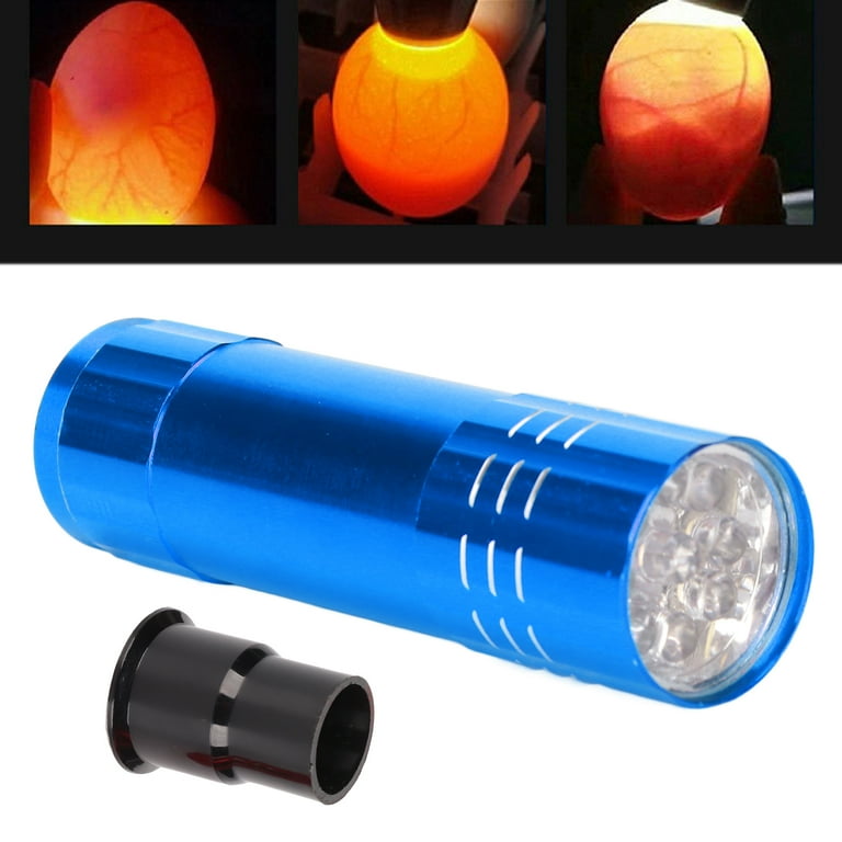 Duck Egg Under Flashlight