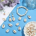1 Box 28Pcs 7 Styles Seashell Charms Bulk Natural Shell Charms Summer ...