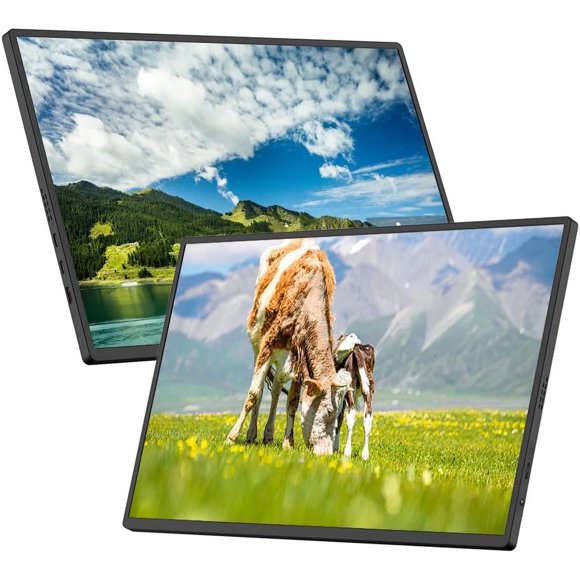 Portable Monitor | Walmart Canada