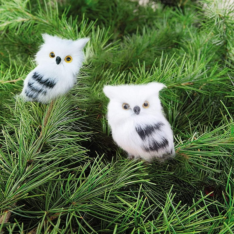 Cute Fluffy Owls