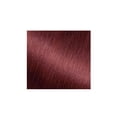 Garnier Nutrisse Nourishing Hair Color Creme 56 Sangria Medium Reddish ...