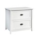 Sauder County Line 2-Drawer Lateral File Cabinet, Soft White Finish ...