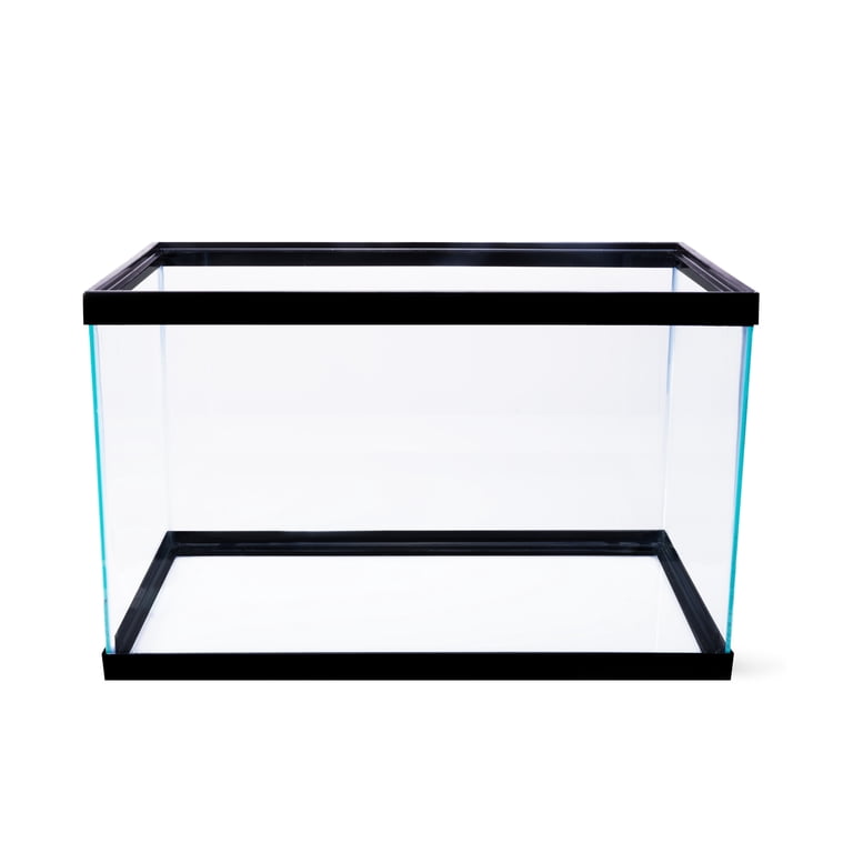 Empty Fish Tank