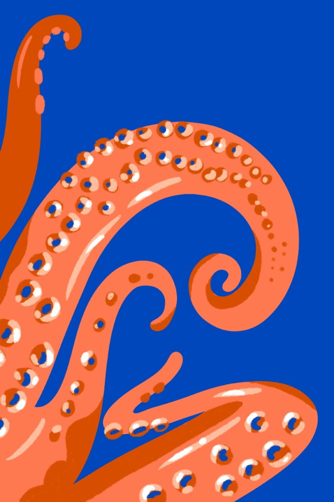 Lush Environment Collection, Octopus Tentacles (16x24 Giclee Gallery ...