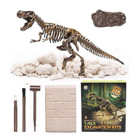 MAIF Dinosaur Fossil Excavation Kits Education Archeology Jurassic Toy ...