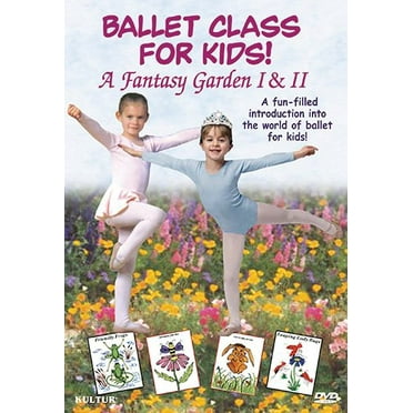 Ballet Class for Beginners (DVD) - Walmart.com