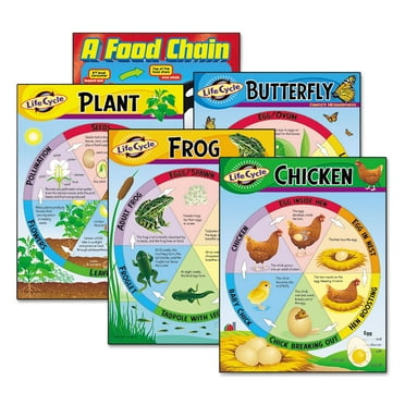 TREND Classroom Basics Block Stars Learning Charts Combo Pack, Set of 5 ...