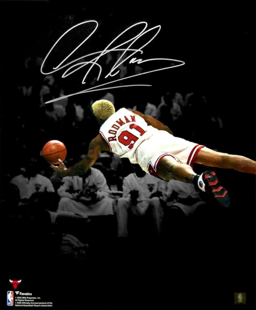 Dennis Rodman Signed Chicago Bulls Diving Spotlight 16x20 Photo ...