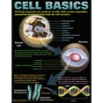 Mcdonald Publishing Cells Posters, Set of 4 - Walmart.com