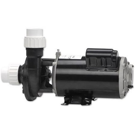 Aqua-Flo FM HP 1 HP SD 48-Frame 2-Speed 115V 9.8-3.8A 1.5 in. MBT Pump ...