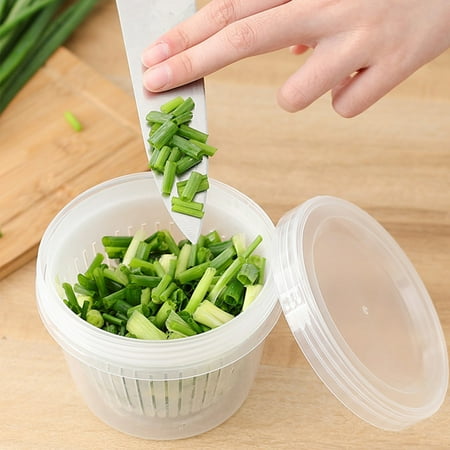 Scallion Freezer Box, Round Fridge Scallion Box for Ginger - Walmart.ca