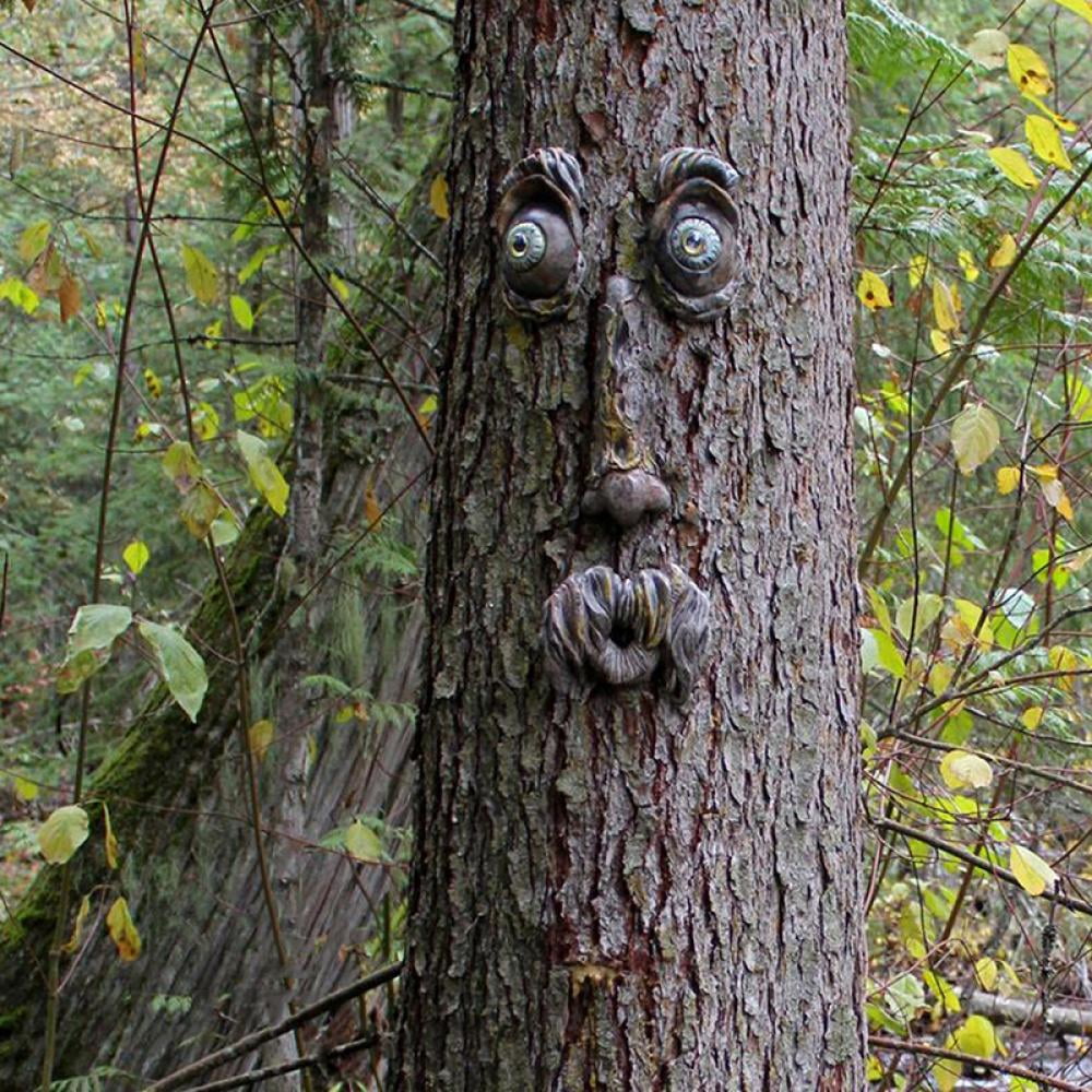 Tree Trunk Face