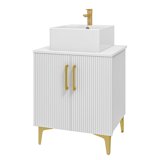 Dextrus 24" Bathroom Vanity with Sink Top, Freestanding Bathroom ...