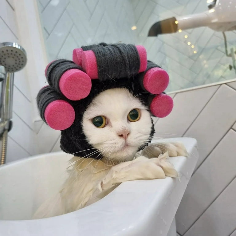 Cats With Wigs