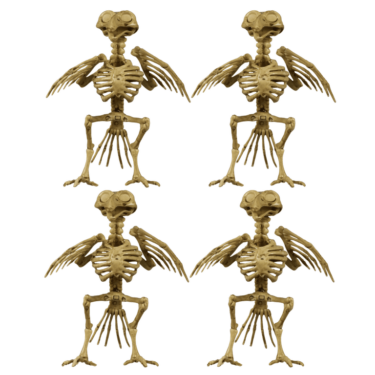 Bird Bones