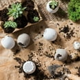 Decorative Eggshell Style Cement Planter - Walmart.com