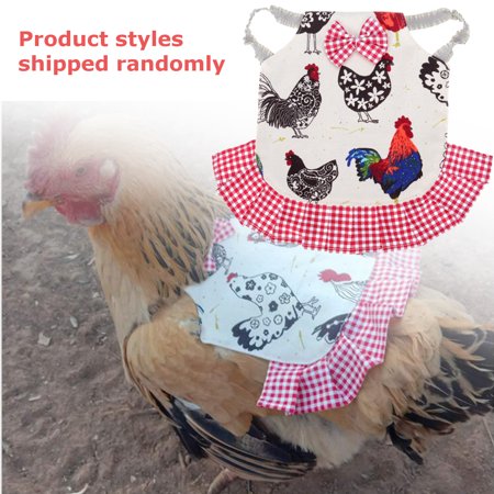 Chicken Apron Wing Back Feather Protector Poultry Hen Backyard Poultry ...