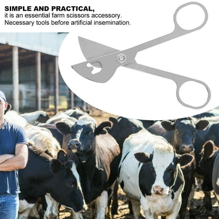 OTVIAP Cattle Farm Scissors Accessories,Coated Semen Tube Scissors ...