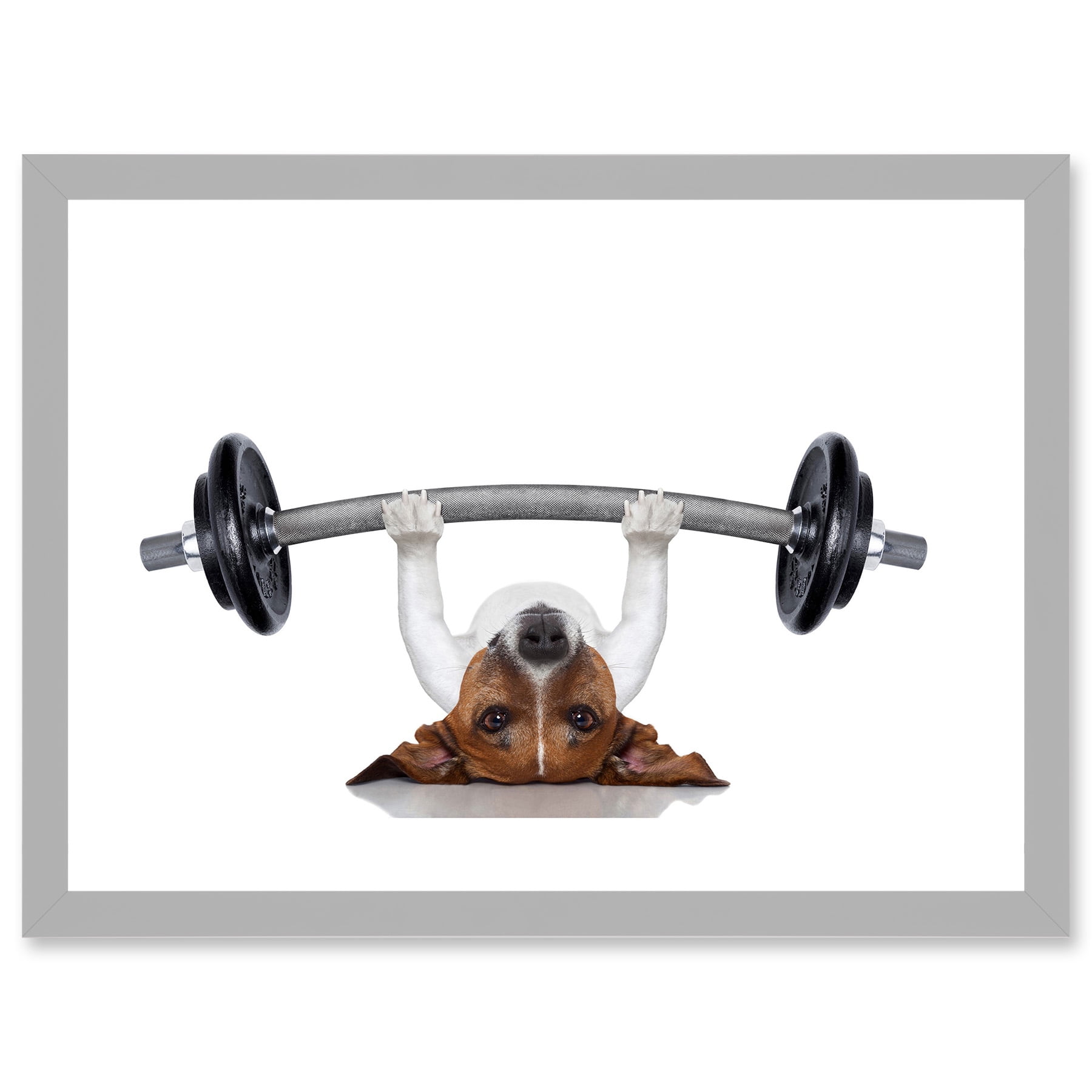 Funny Photo Jack Russell Dog Personal Trainer Weight Lifter Artwork ...