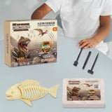 Archaeology Discovery Excavation Kits Archaeology Science Kits for ...