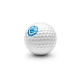 GPS Smart Tracking Golf Balls - Chip-ing - Walmart.com