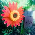 Sunflower Wind Spinner Plastic Sunflower Pinwheel Garden DIY Ornaments ...