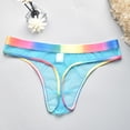 Ladies Panties Seamless Sheer Mesh Thong Lightweight Bikini Women ...