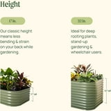 Vego Garden 32" Extra Tall Raised Gardening Bed Kits 9 in 1 8ftx2ft ...