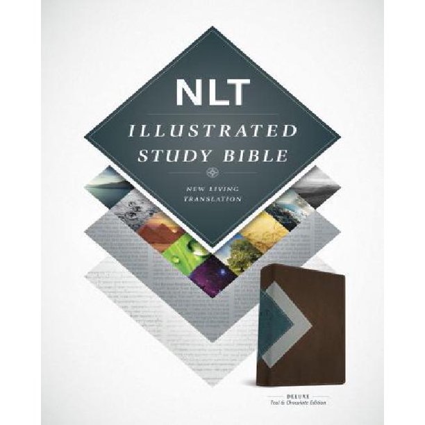 Illustrated Study Bible-NLT - Walmart.ca