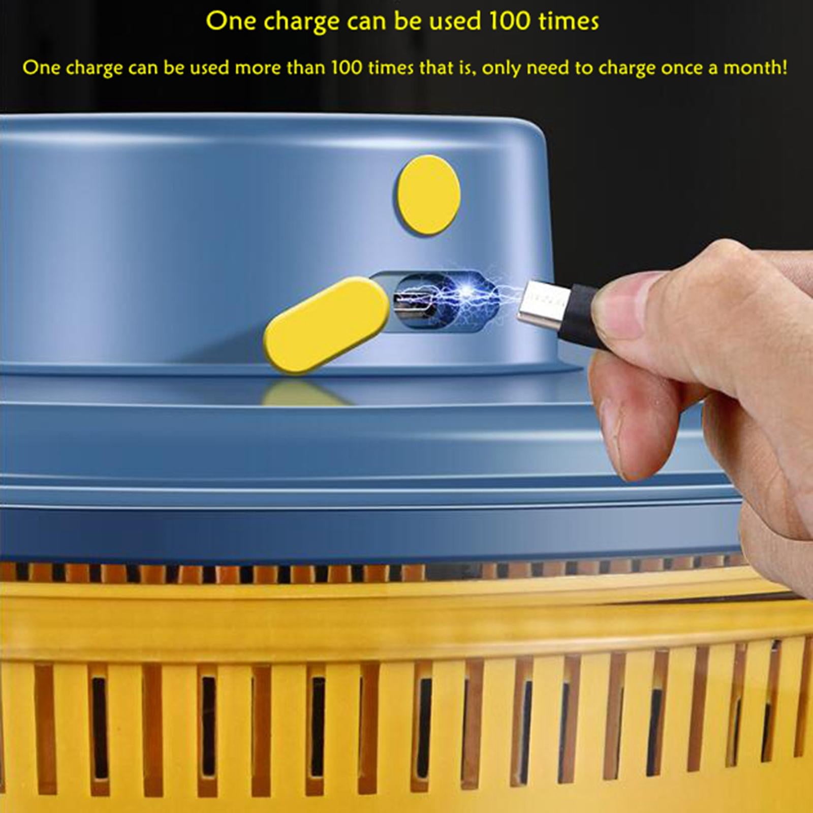 Electric Vegetable Dehydrator,Kitchen Fruit and Vegetable Dryer ...