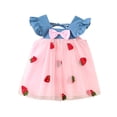 Baby Girls' Cherry Print Denim Top Tulle Dress, Sweet Ruffle Sleeve ...