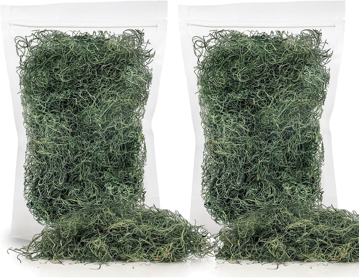 ⭐ BEST POTTING MIXES - Spanish Moss in Basil| Natural Preserved - Great ...