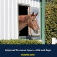 Farnam, Wound-Kote Blue Lotion Spray, 7 Ounce, Horses and Dogs ...