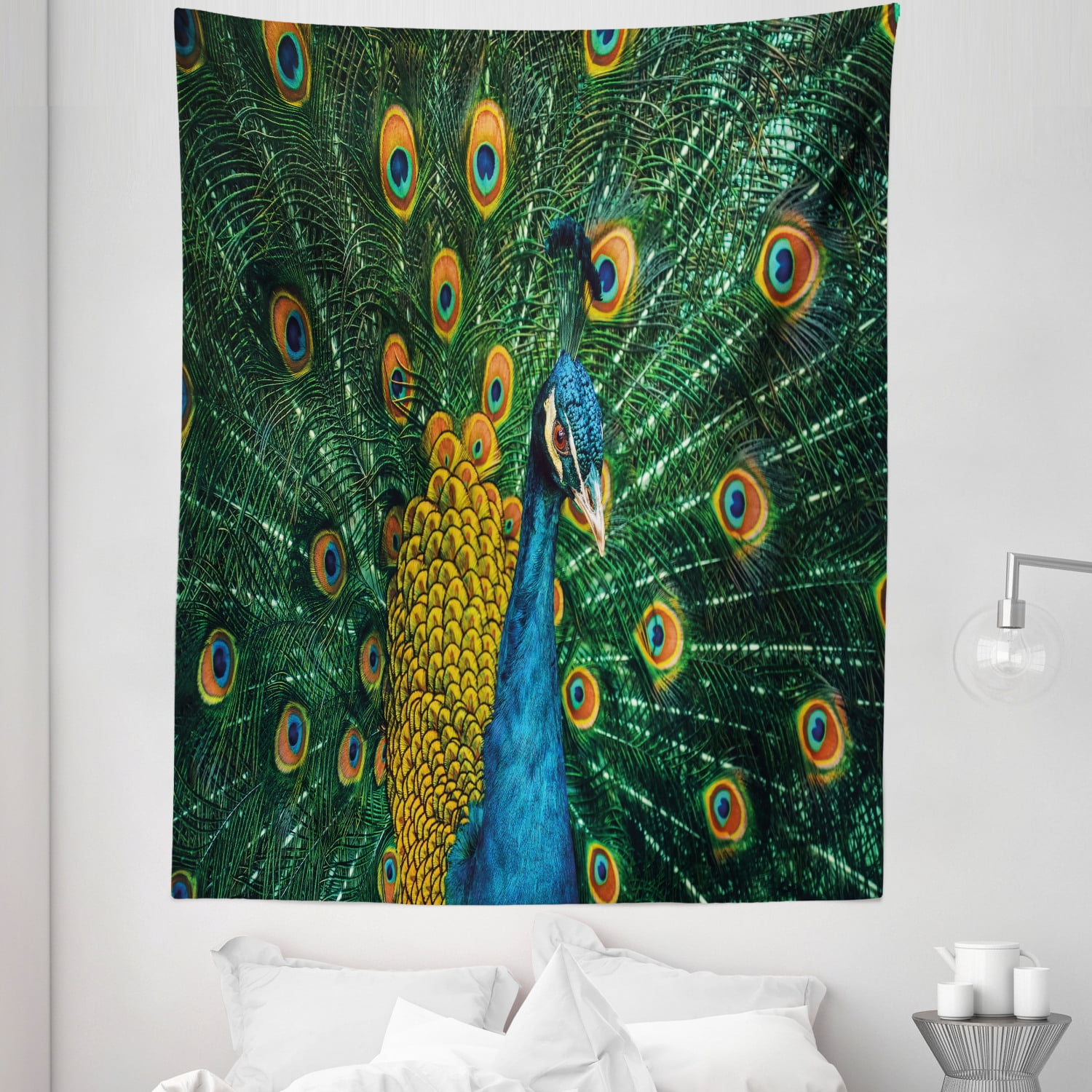 Tropic Tapestry, Portrait of the Peacock Courtship Display Eye Spotted ...