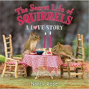 Merry Christmas, Squirrels!, (Hardcover) - Walmart.com