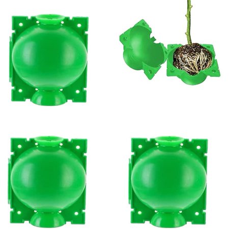 4 Pieces Plant Root Box Plant Grafting Box, Plant Rooting Device, Plant ...