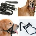 Creative Dog Halter Halti Training Head Collar Gentle Leader Harness ...