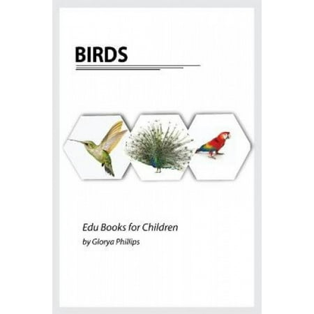 Birds: Montessori real birds book, bits of intelligence for baby and ...