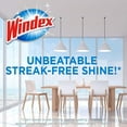 Windex Original Blue Glass & Window Cleaner - 765ml - Walmart.com