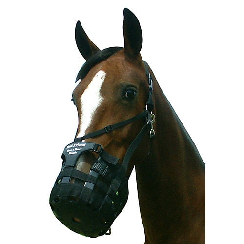 Best Friend Have A Heart Muzzle Horse - Walmart.com