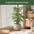15 Inch Self-Watering Planter for Indoor Plants – Large Modern Plant ...