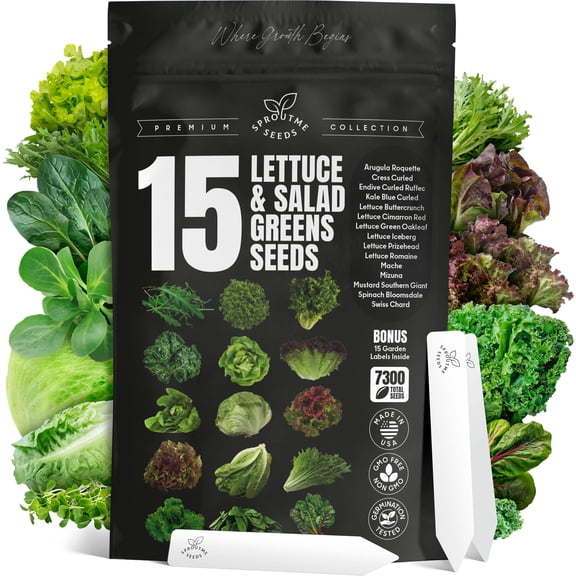 15 Lettuce & Salad Greens Seeds MVR1 Variety Pack Lettuce Garden Salad ...