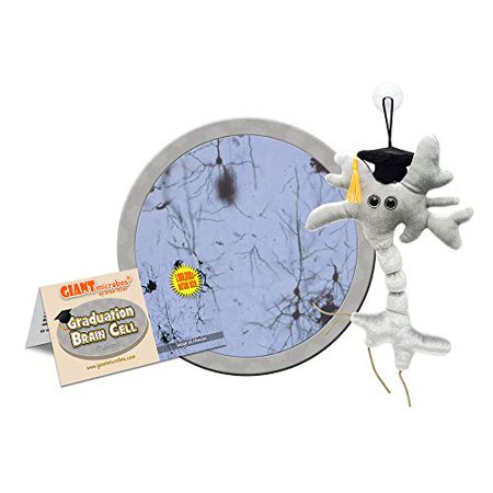 GIANT MICROBES Brain Cell Science Kit Graduation Edition | Walmart Canada