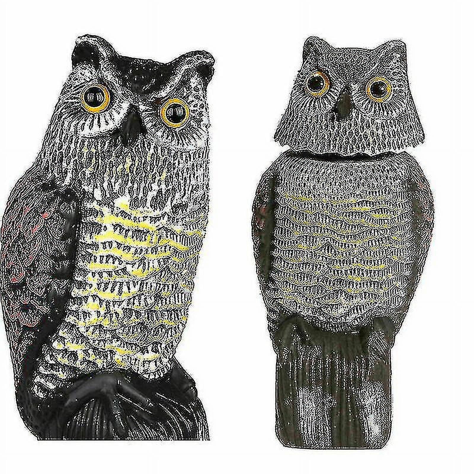 Large Realistic Owl Decoy With Rotating Head Bird Pigeon -NMAOV ...