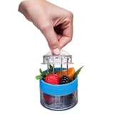 Zing Anything Aqua Zinger Fruit Infusion Water Bottle, BPA-Free 18/8 ...