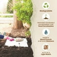 BloomingBulb Seed Mat - Easy to Plant and Grow Garden Seeds - Creates ...