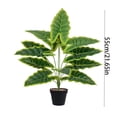 SPOORYYO Large Artificial Money Tree for Home and Office Decoration ...